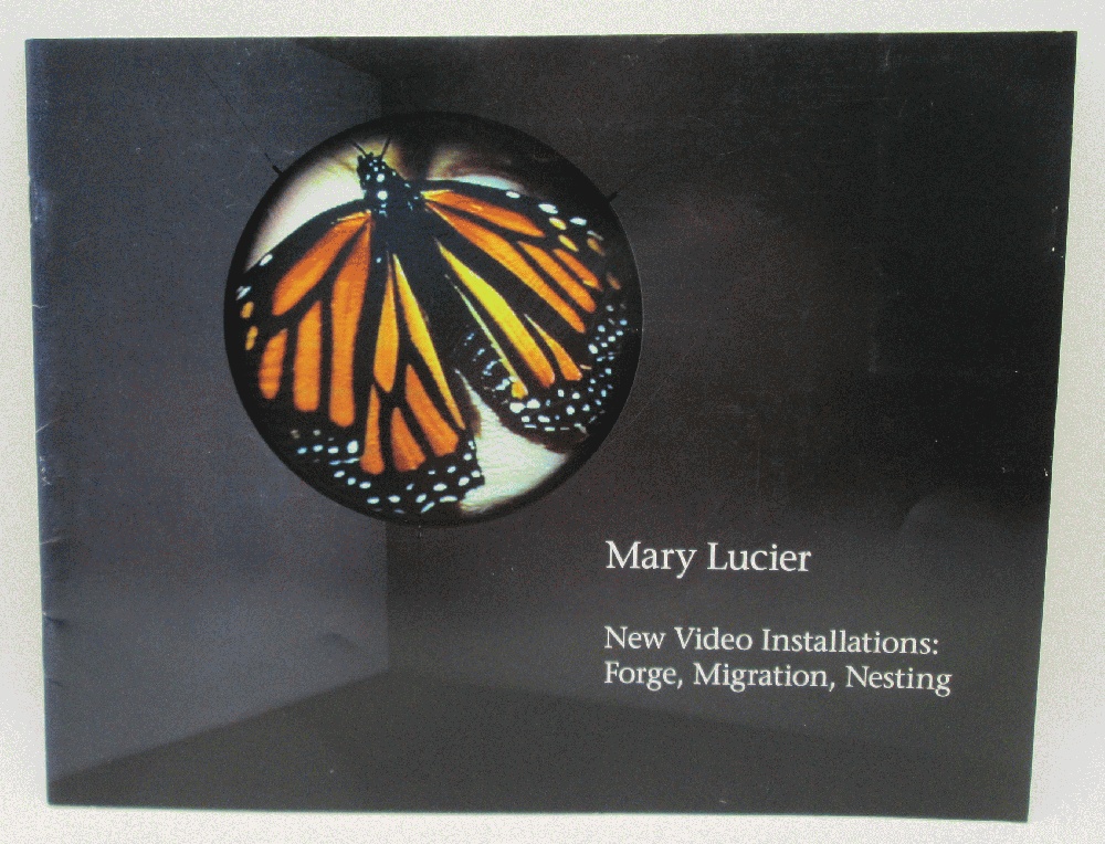 Mary Lucier, New Video Installations: Forge, Migration, Nesting