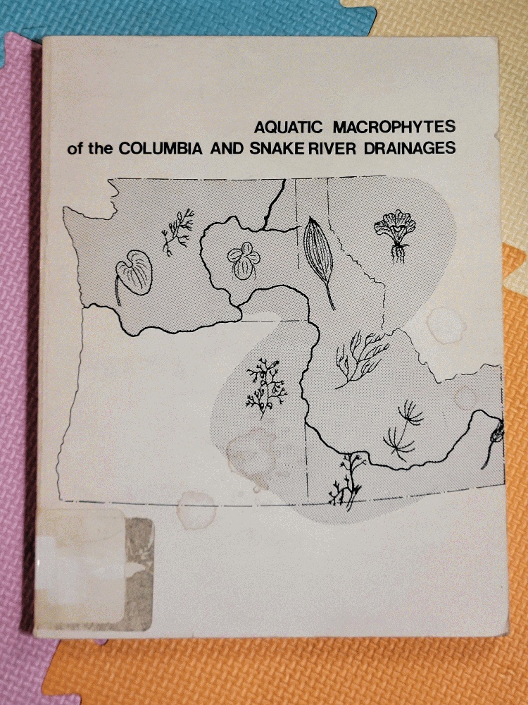 Atlas Of Plant Morphology, Portfolio I: Photomicrographs Of Roots, Stem ...