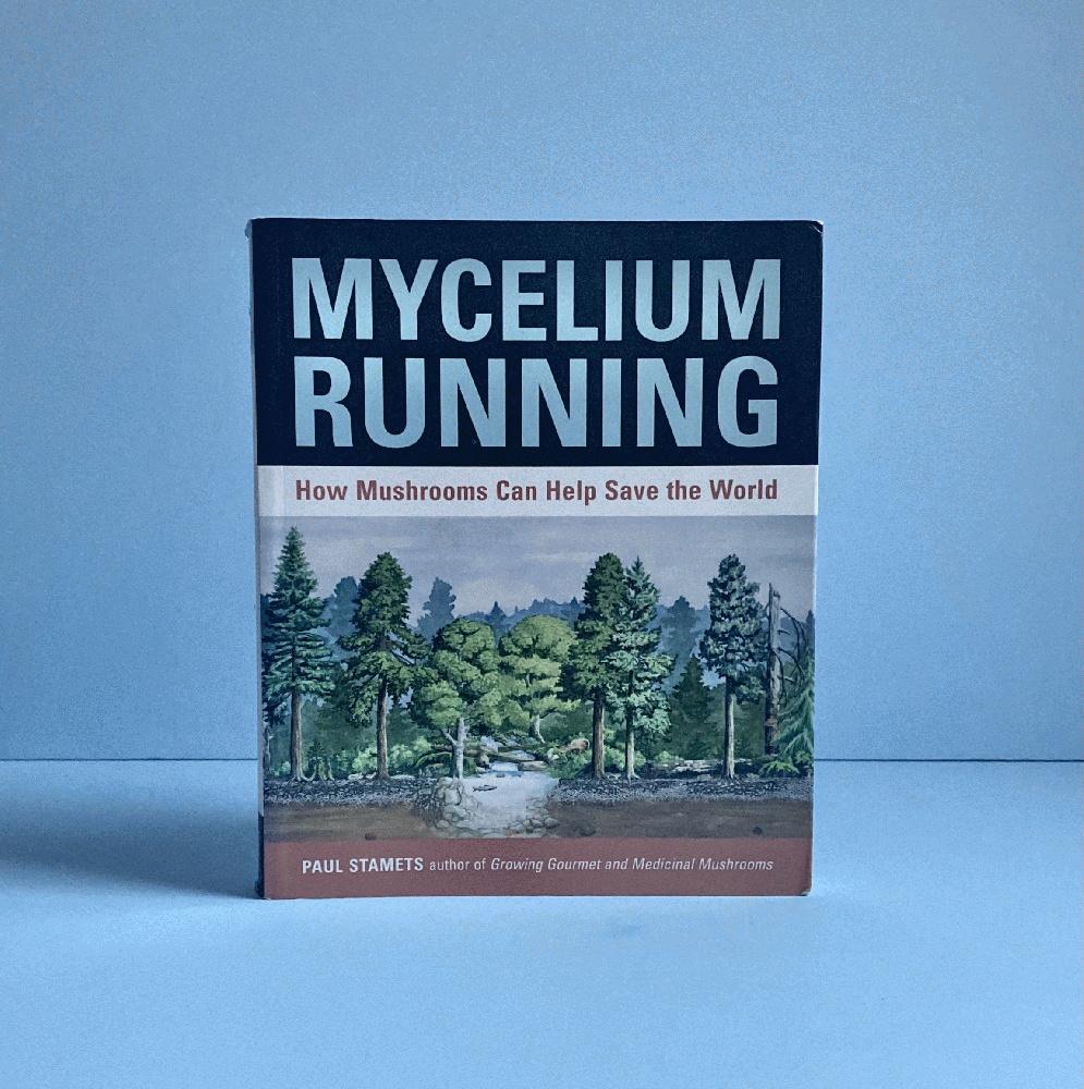 Names And Types Of Mushrooms